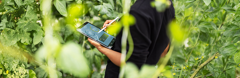 R3.45bn mobilised for climate smart agriculture | Standard Bank